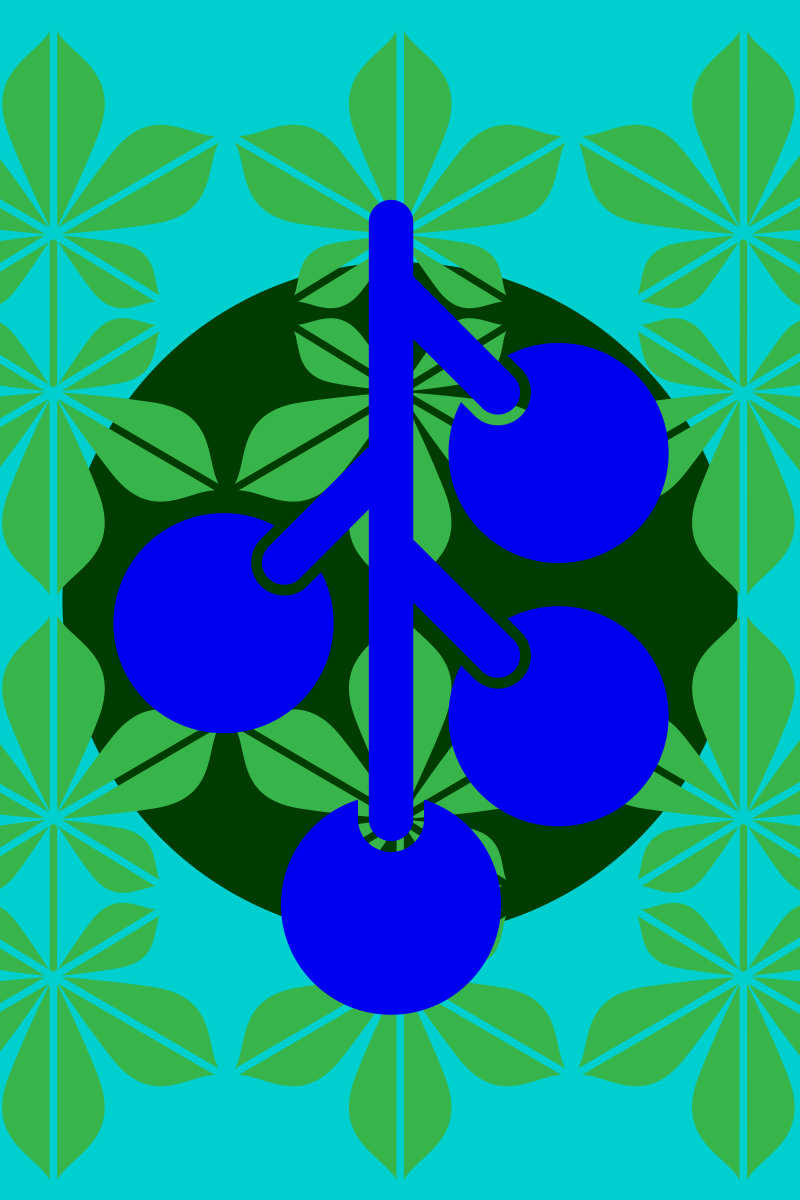 'Blue Quandong' by Tracey Wilkinson / Hoisted